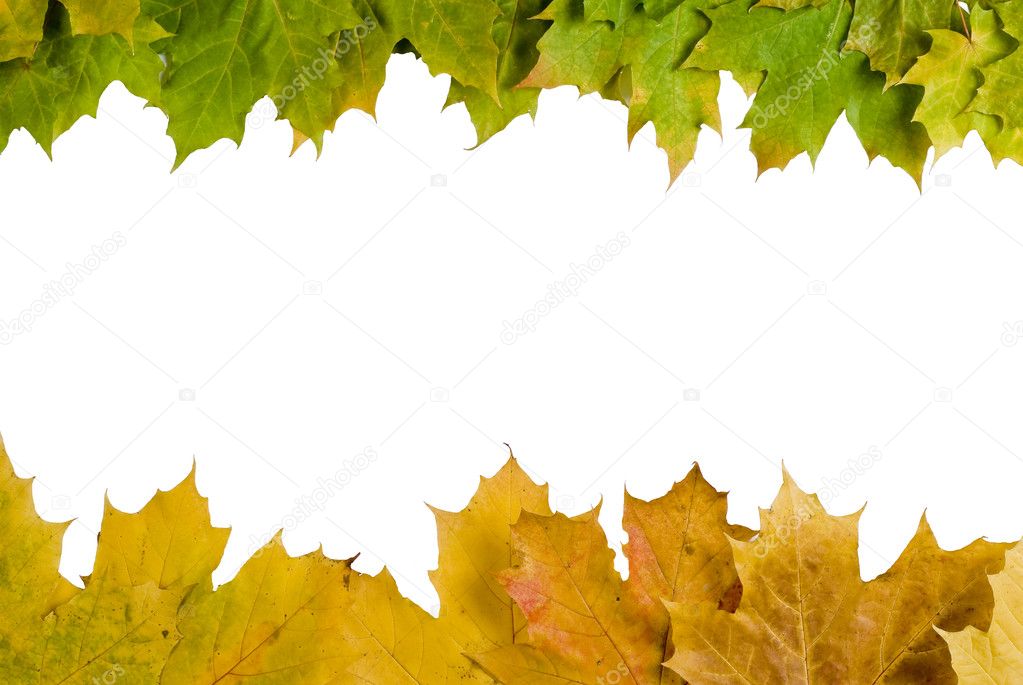 Autumn leaves border — Stock Photo © caldix #4110716