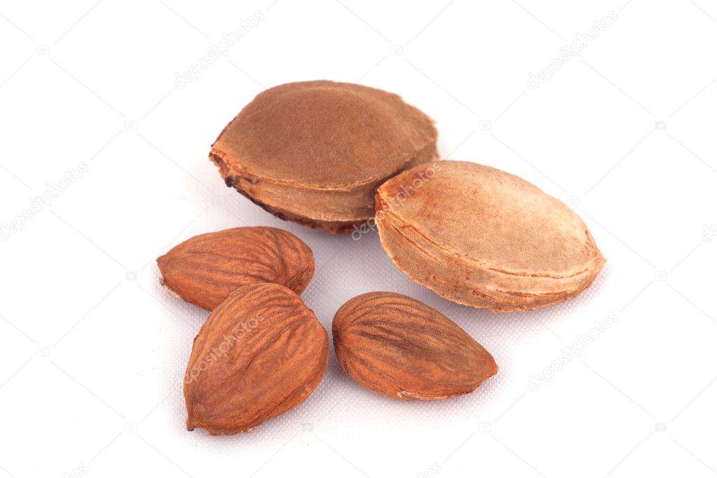 Apricot Stone Meaning at Timothy Bottom blog