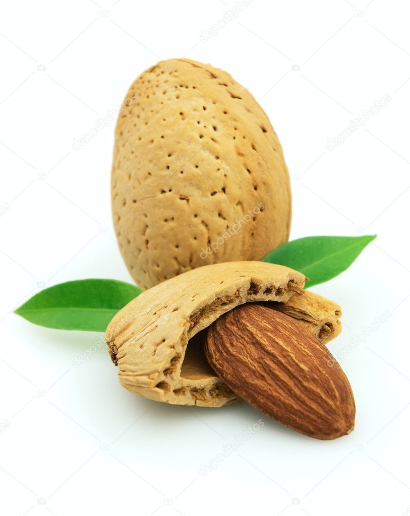 Sweet almonds with leaves Stock Photo by ©Dionisvera 4339853