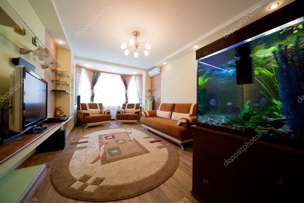 Fish Tanks In Apartments