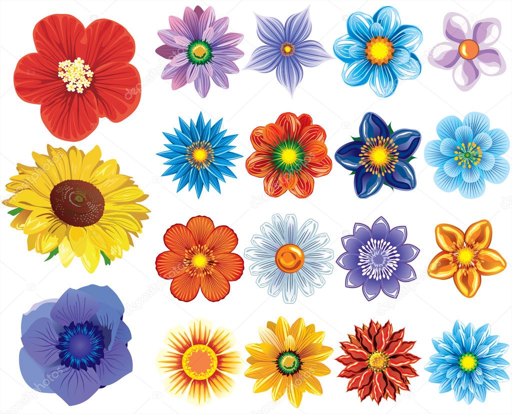 Set of flower graphics vector Stock Vector Image by ©sanjar #4238019
