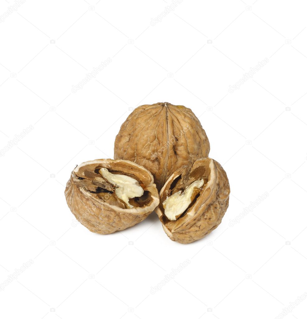 Walnut — Stock Photo © SergeyKolesnikov #4584628