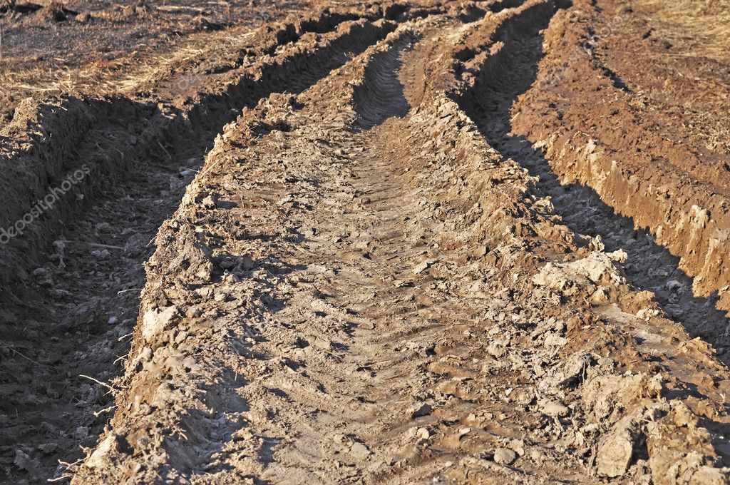 Deep rut of lorry — Stock Photo © viknik #5031640