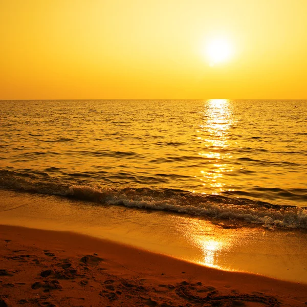 Sun and sea — Stock Photo © Zoooom #4550752