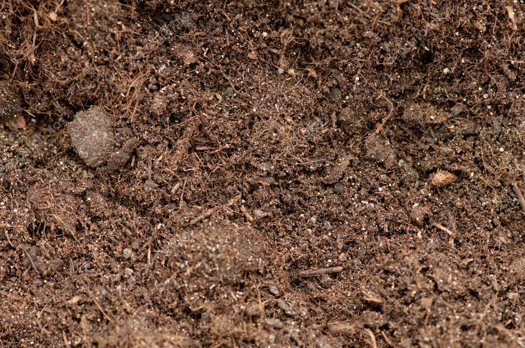 Close up of soil - can be used as background — Stock Photo © Elnur ...
