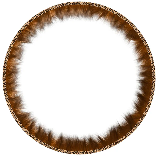 Round framework from fur. — Stock Photo © leonikonst #4462156