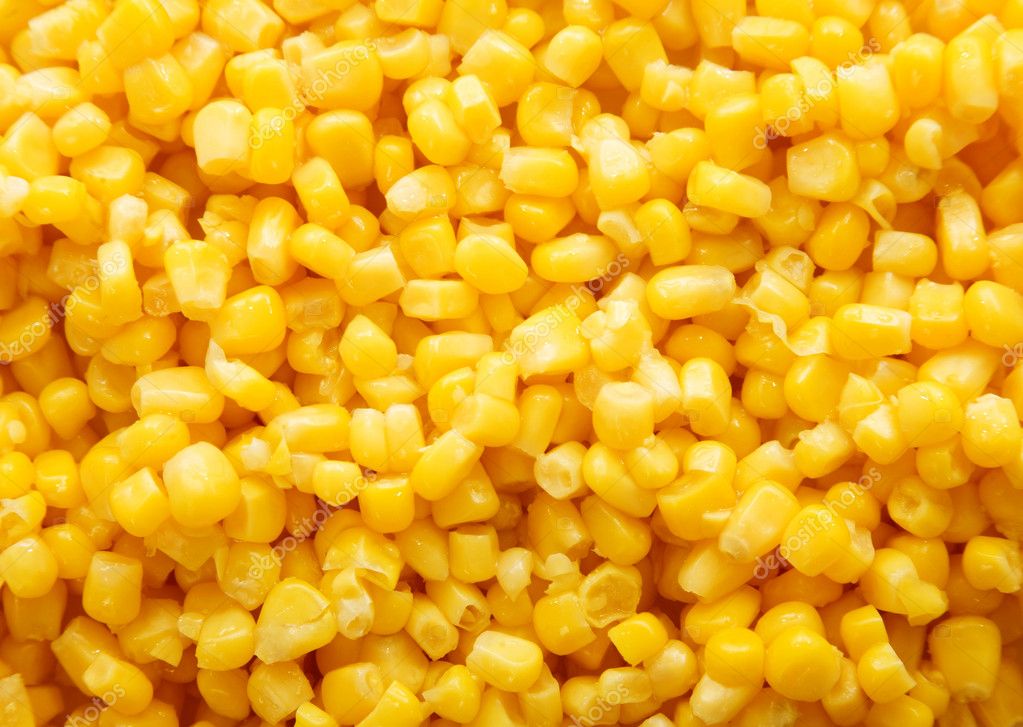 Corn background — Stock Photo © miolana #4356725
