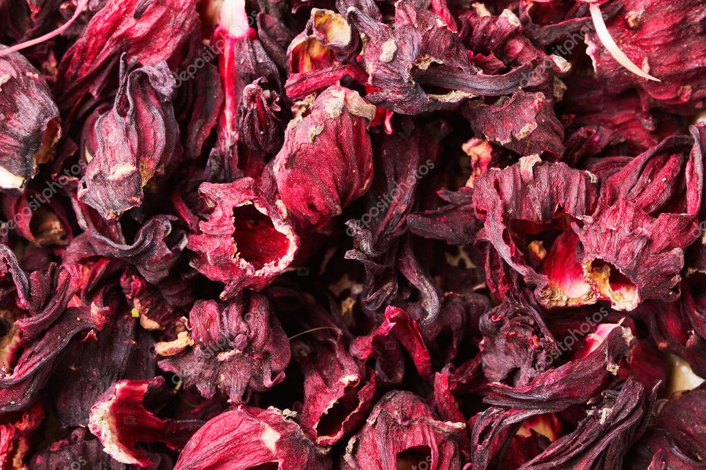 Karkade — Stock Photo © alexxl #4915009