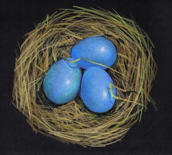 Color Pencil Drawing of Bird's Nest With Eggs - Stock Image - Everypixel