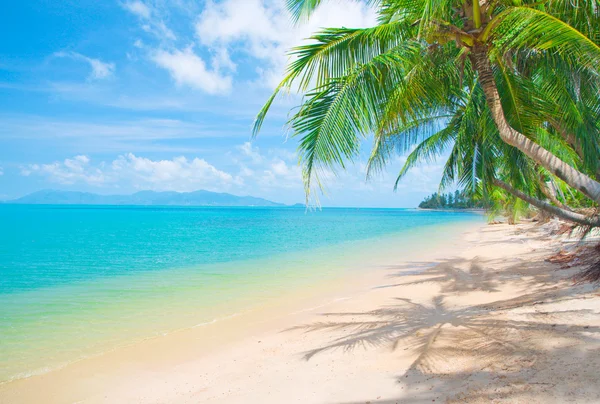 Tropical beach scene Stock Photos, Royalty Free Tropical beach scene ...