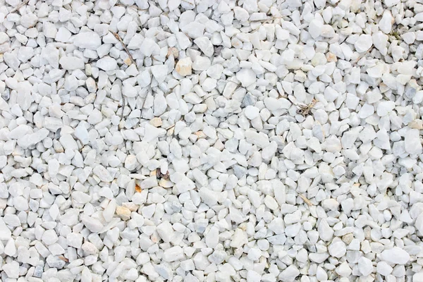 Gravilla blanca — Fotos de Stock © dexns31 #4926836