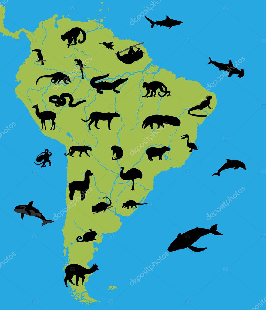 Animals of South America Stock Vector by ©160377 5303674 Animals of South America Stock Vector by ©160377 5303674