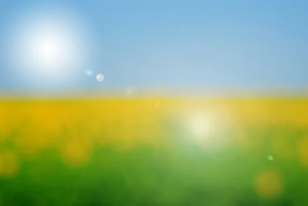 Blurred field Stock Photos, Royalty Free Blurred field Images ...