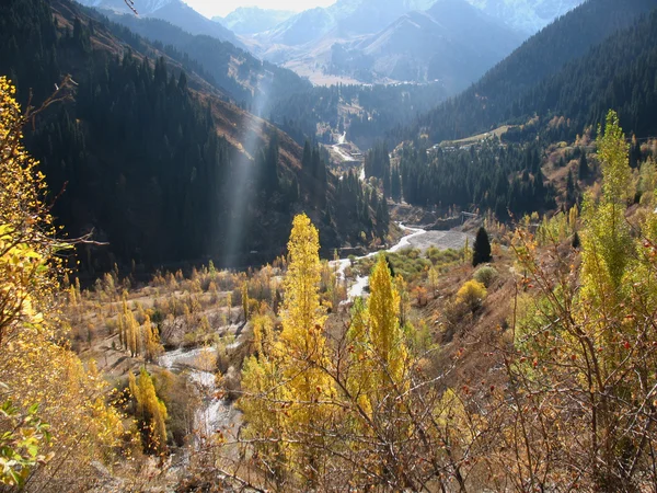 Valle de paro Stock Photos, Royalty Free Valle de paro Images ...