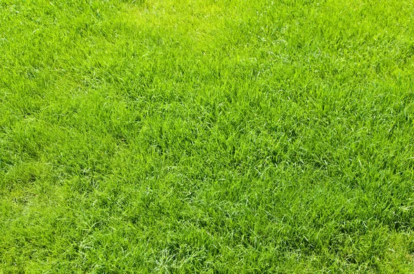 Flat grass Stock Photos, Royalty Free Flat grass Images | Depositphotos