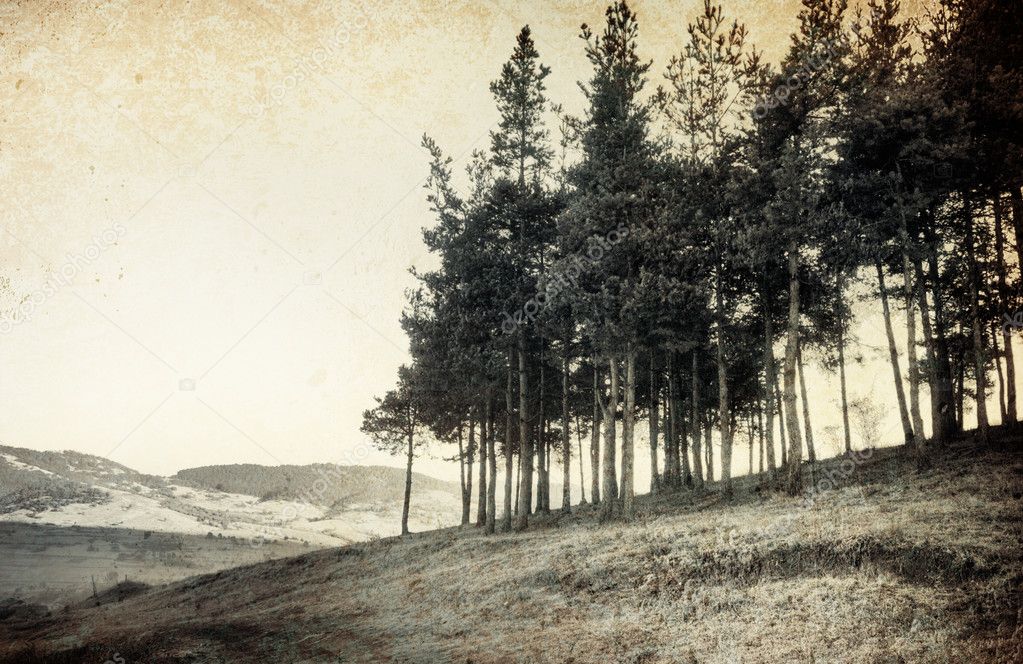Vintage Tree Photo Old Landscape Stock Photo by ©sliper84 4601496