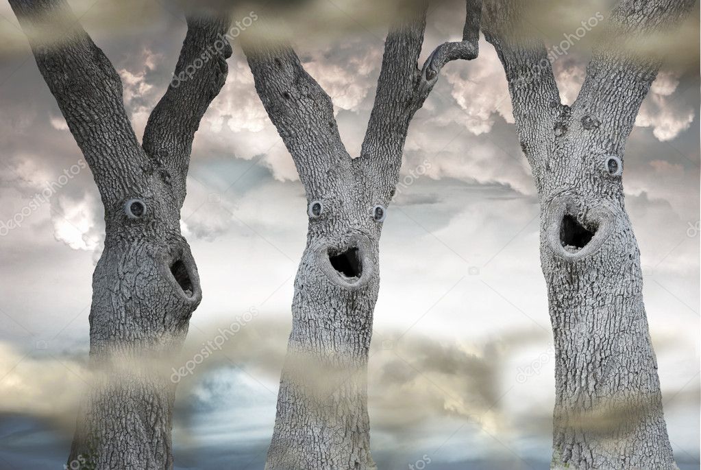 Funny Spooky Trees — Stock Photo © ponytail1414 #4975056