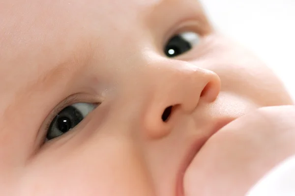 Close up of baby nose Stock Photos, Royalty Free Close up of baby nose ...