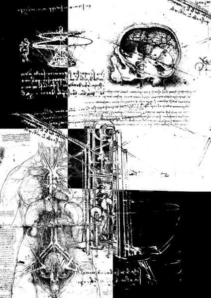 Leonardo's Da Vinci engineering & Anatomy drawing — Stock Photo ...