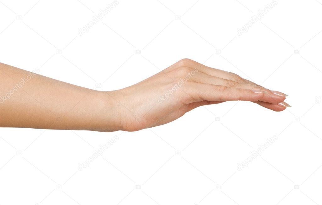 Woman hand — Stock Photo © levkro #4602967