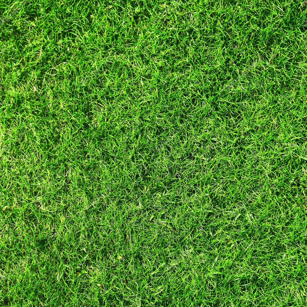 Texture de la belle herbe verte — Photographie majaFOTO © #4848764