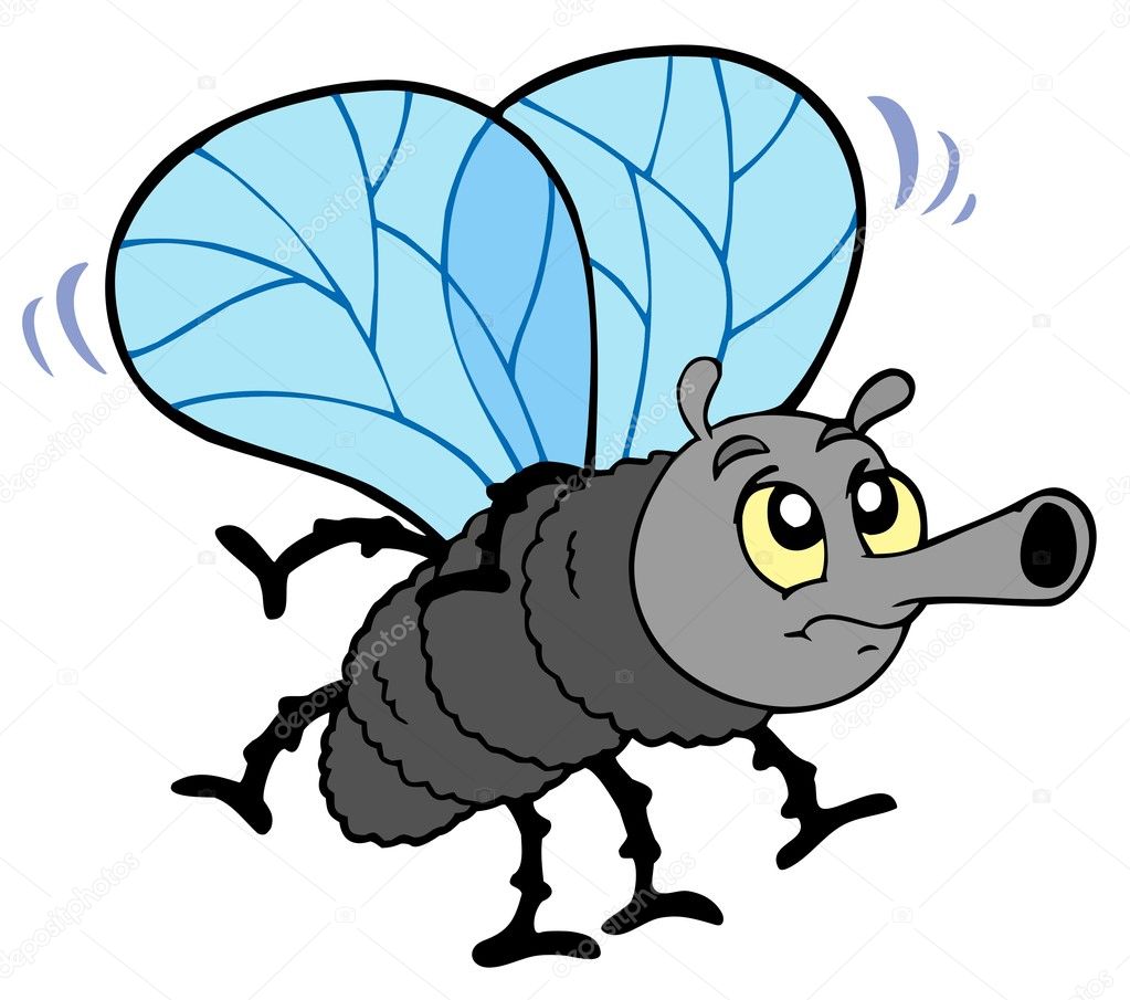 Clipart: cartoon fly | Cartoon fly — Stock Vector © clairev #3946965