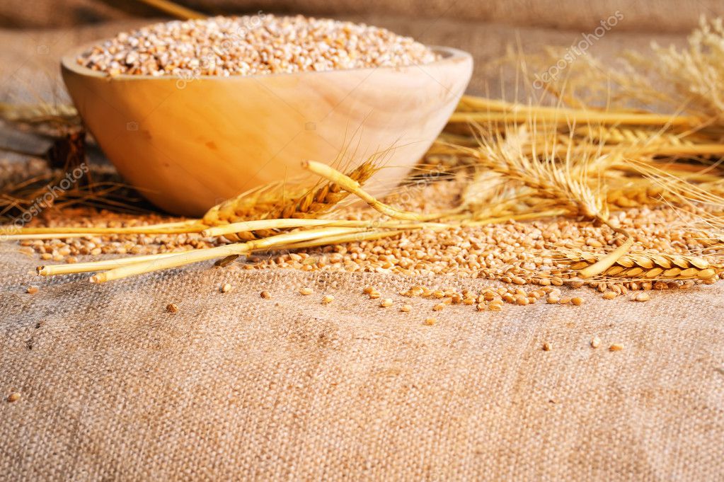 Wheat seeds on rough material Stock Photo by ©jordache 4599399