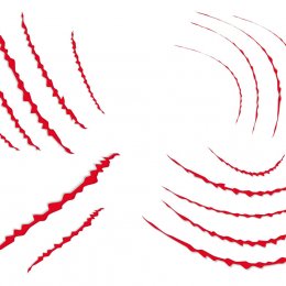 Claws Stock Photos, Royalty Free Claws Images | Depositphotos