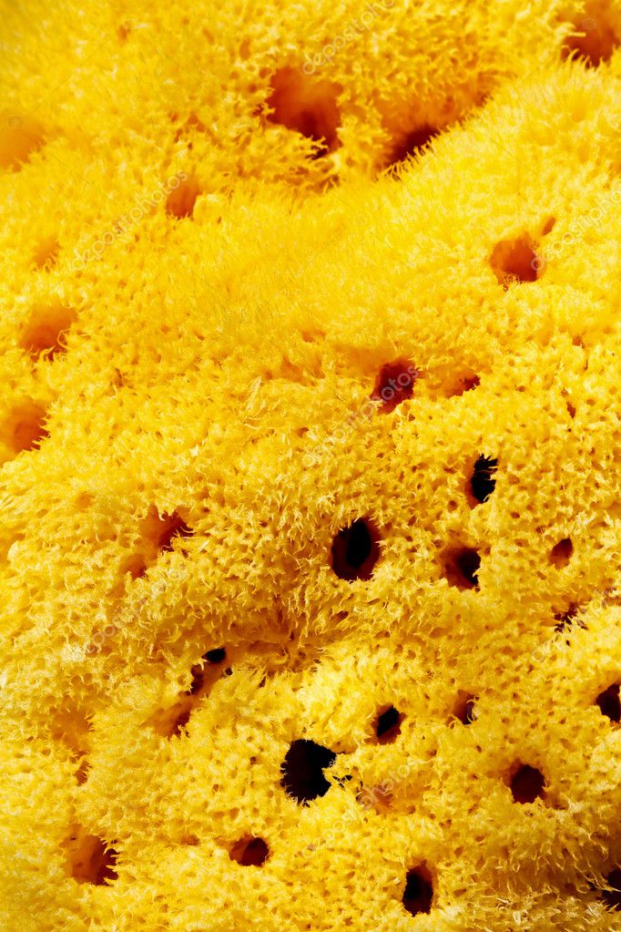 Yellow sponge — Stock Photo © Baloncici #5338561