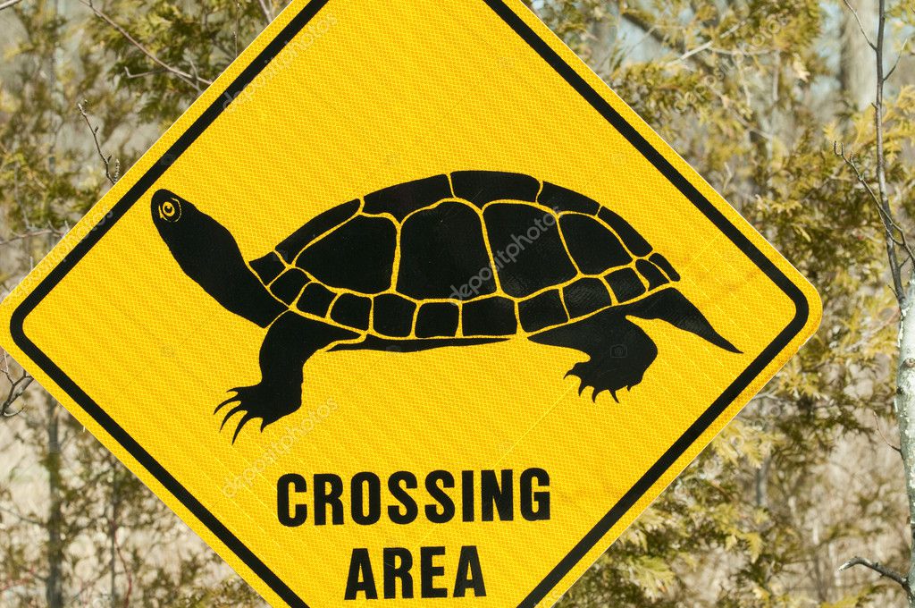 Turtle sign — Stock Photo © airdale #5317418
