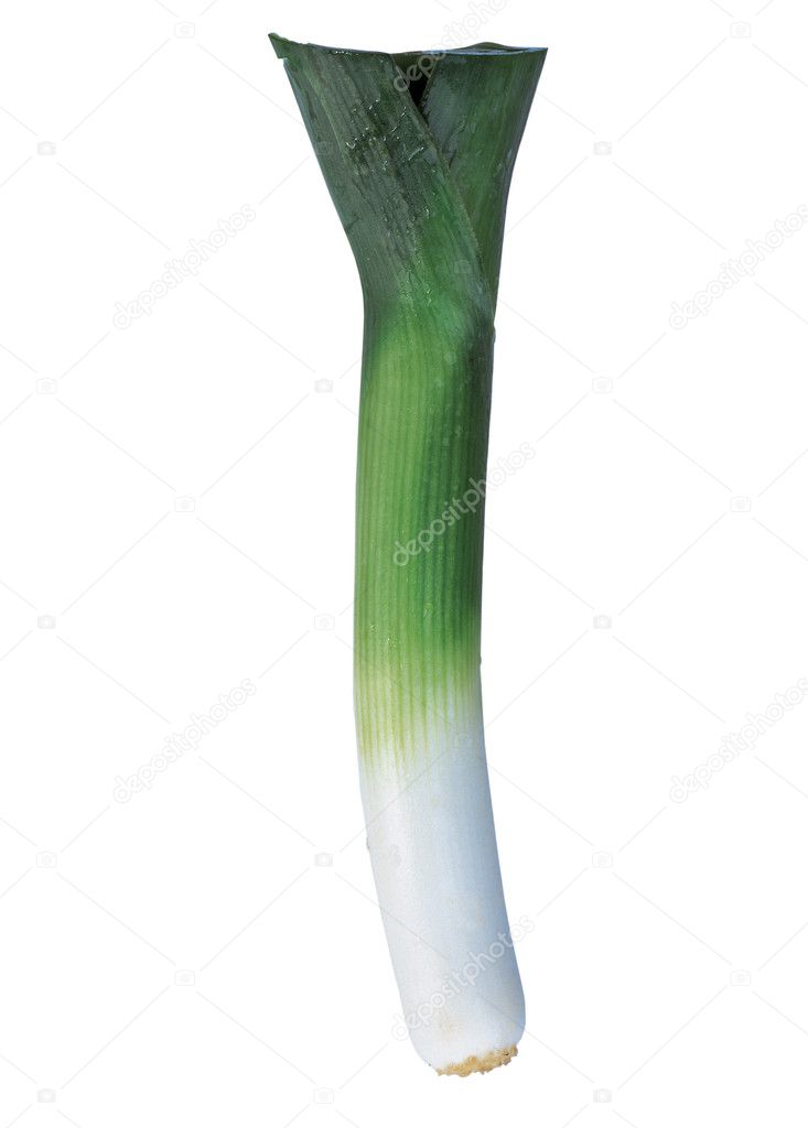 Welsh leek Stock Photo by ©kubais 5230428
