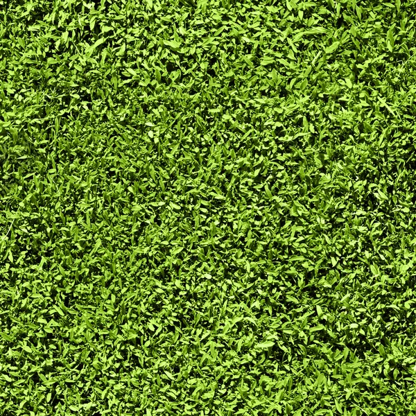ᐈ Seamless grass stock images, Royalty Free seamless grass texture pics ...