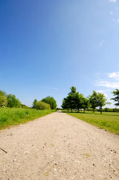 Clear pathway Stock Photos, Royalty Free Clear pathway Images ...