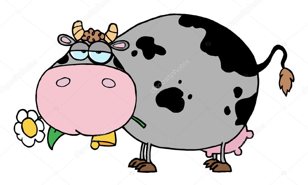 Chubby Gray Black Cow Eating Daisy Flower Stock Illustration by ...