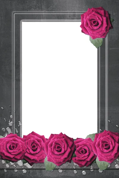 Frame with roses — Stock Photo © o_april #4000725