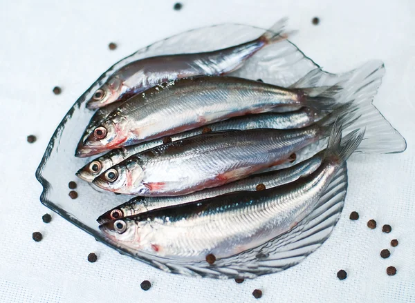 Rare fish Stock Photos, Royalty Free Rare fish Images | Depositphotos®