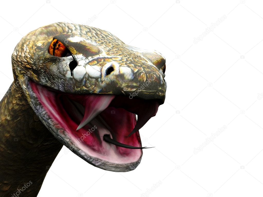 Closeup of rattlesnake ready to strike — Stock Photo © sarah5 #4170268