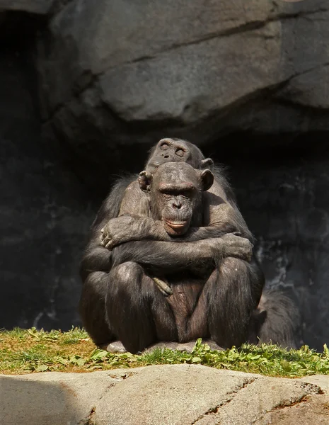ᐈ Cuddles stock pictures, Royalty Free boy and girl best friend goals ...