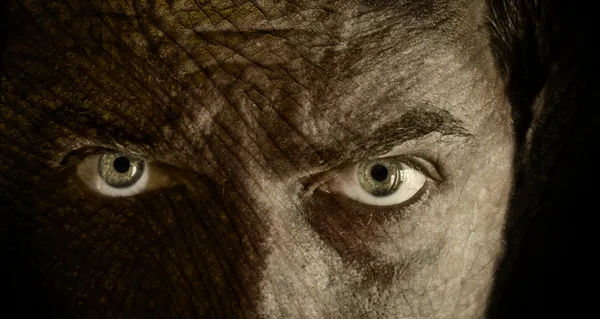 Scary face with cracked skin - Stock Image - Everypixel