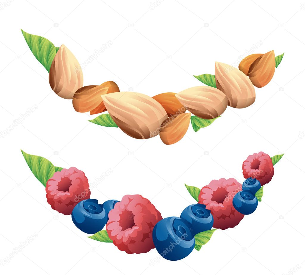 Nuts and berries — Stock Vector © niki2die4 #4568300