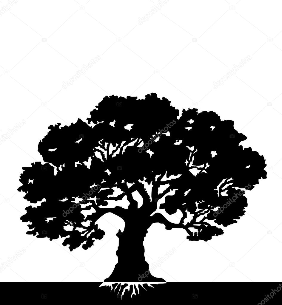 Tree. Vector — Stock Vector #5241909
