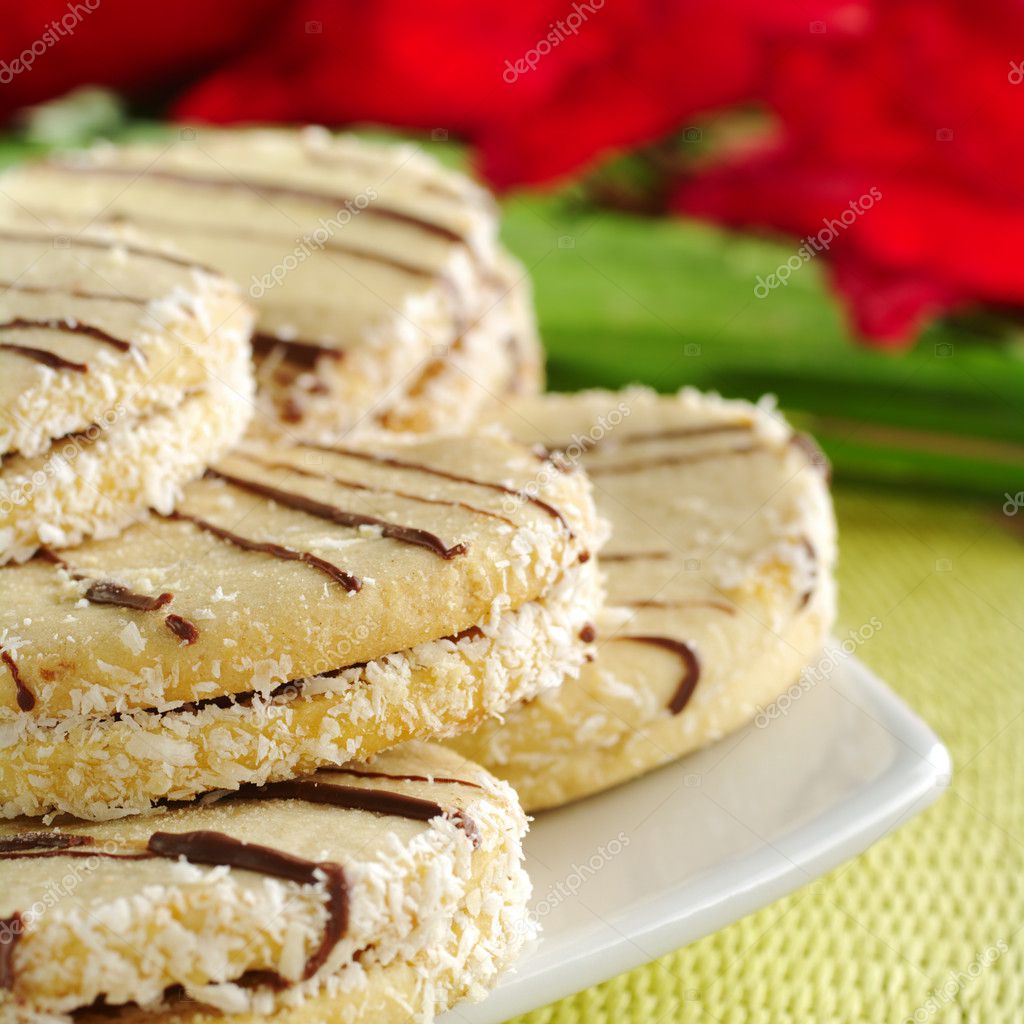 Peruvian Cookies Called Alfajor — Stock Photo © ildi_papp #5100318