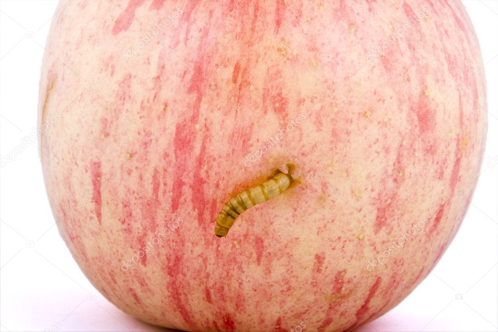 Apple and worm — Stock Photo © yuyang #4716621