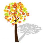 Maple tree, autumn leaf fall Stock Vector Image by ©Kudryashka #1950276