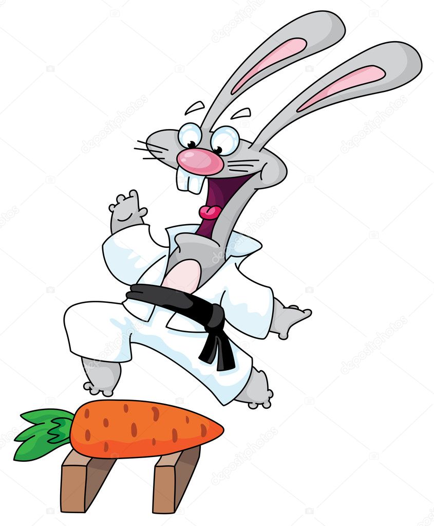 Rabbit karate — Stock Vector © Polkan #3992658