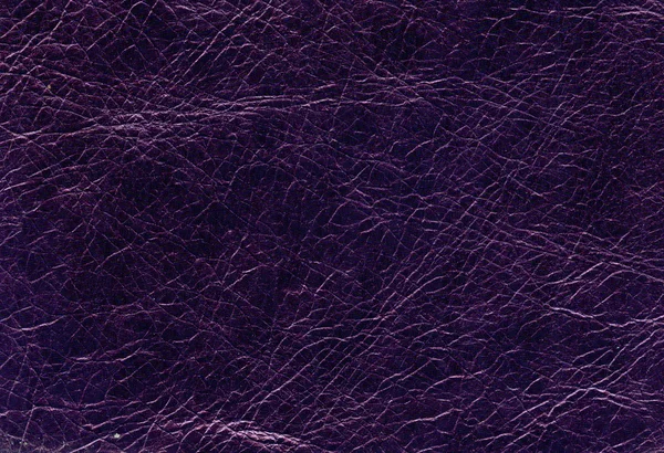 Purple leather Pictures, Purple leather Stock Photos & Images ...