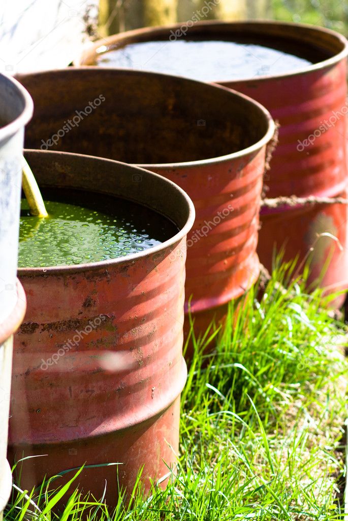 Radioactive substance in nature — Stock Photo © anobis #4121401