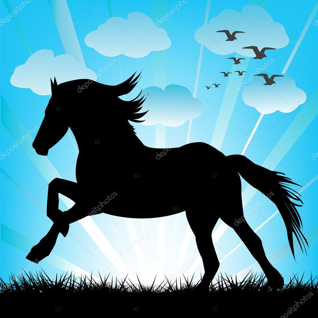 Black horse silhouette Stock Illustration by ©hibrida13 #4002930