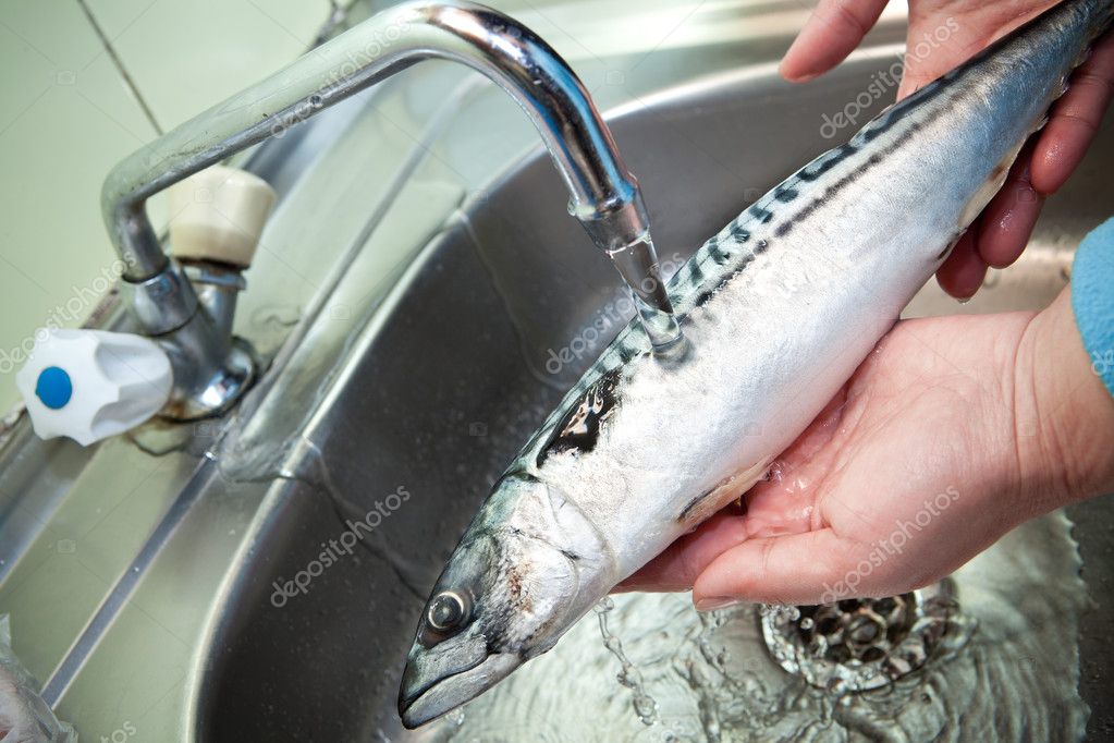 Washing of fish in flowing water — Stock Photo © Alexust #4820438