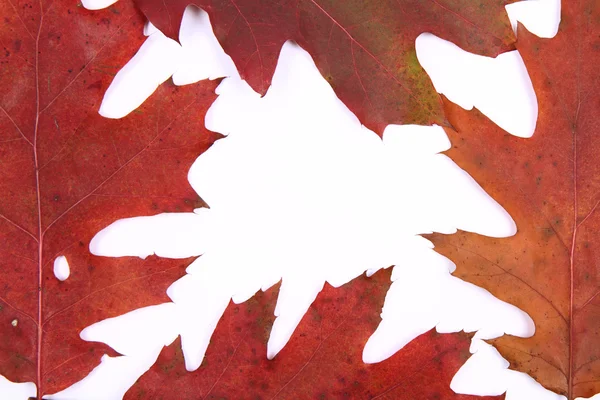 Abstract maple leaf Stock Photos, Royalty Free Abstract maple leaf ...